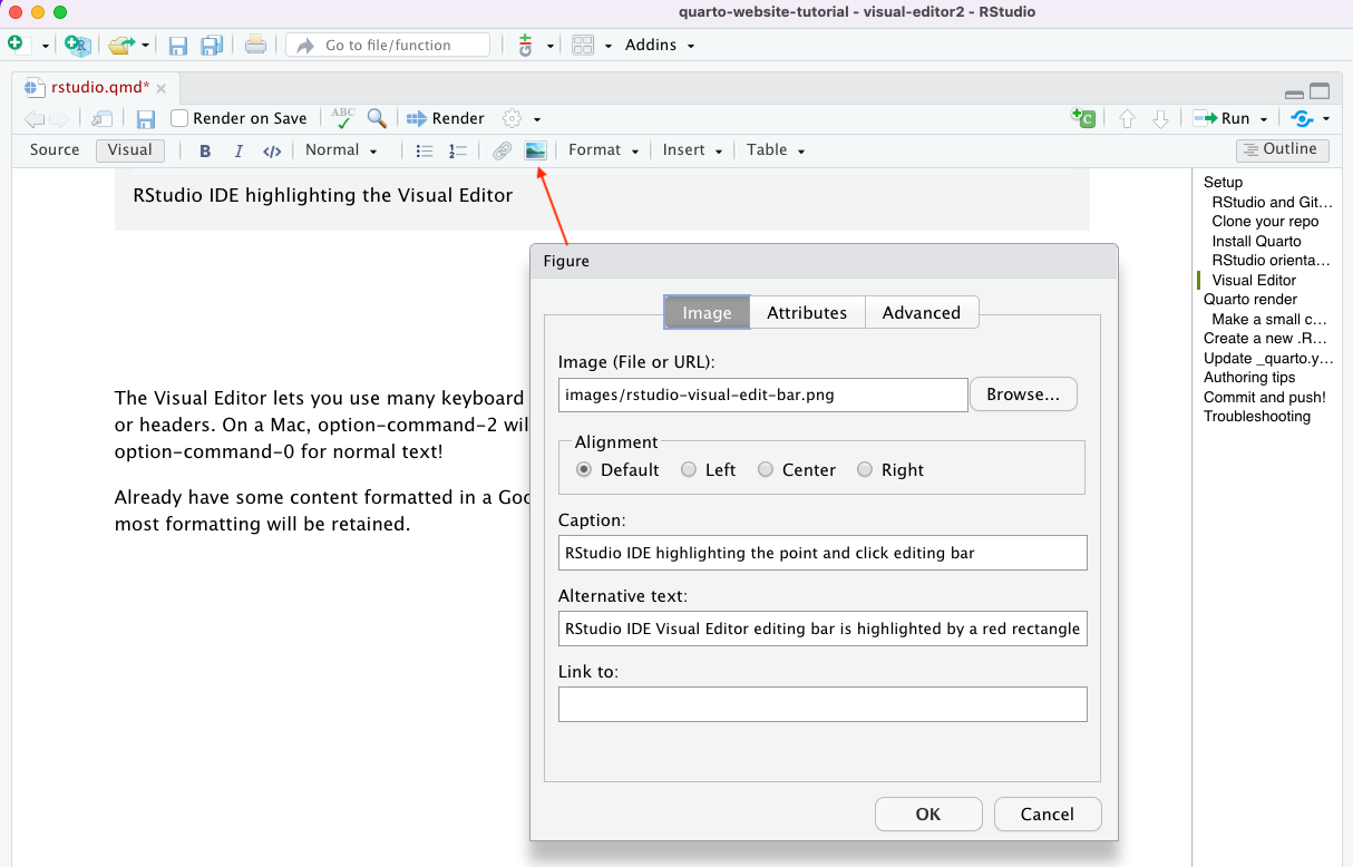 Making sharable documents with Quarto - From RStudio